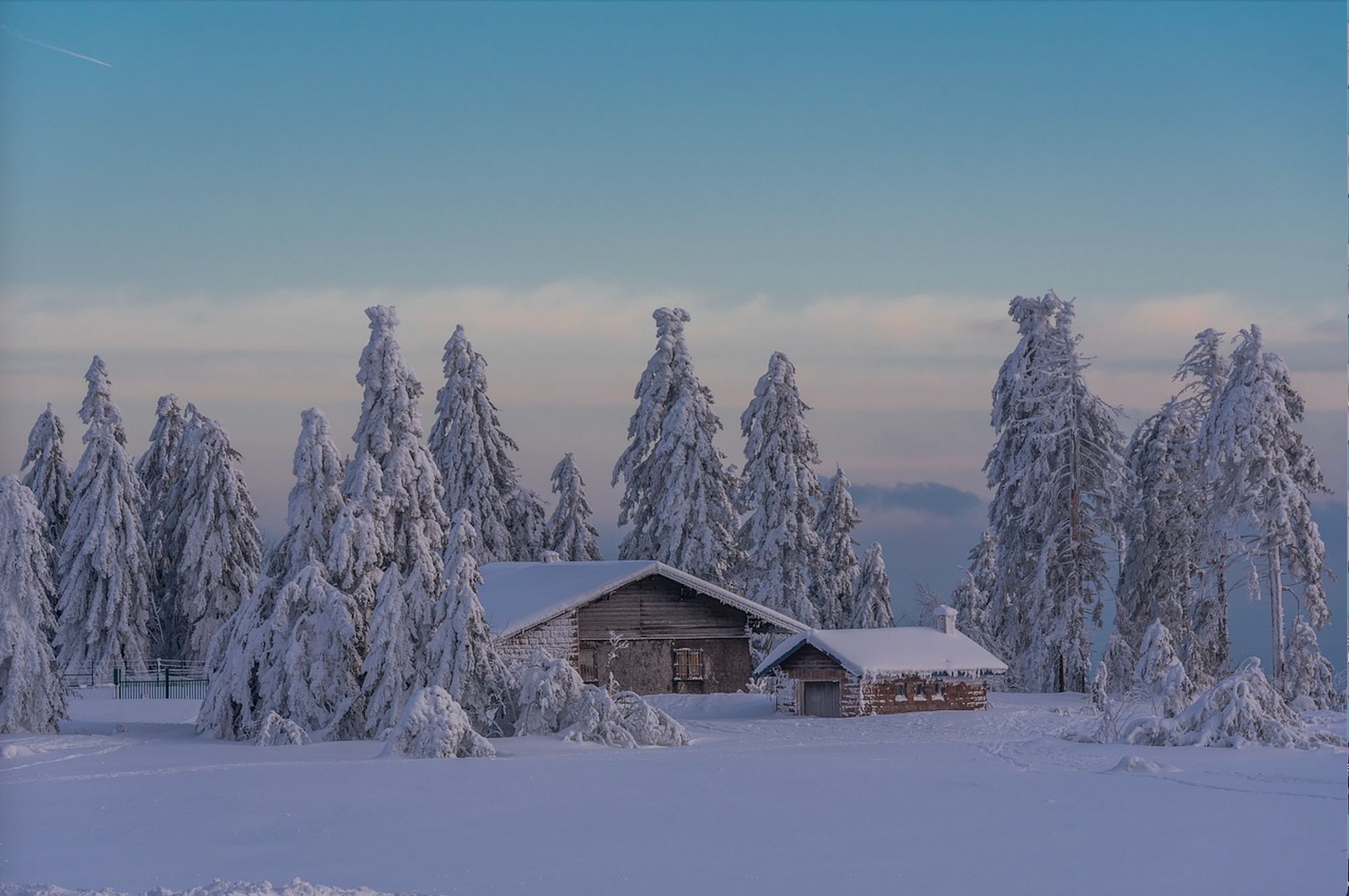 Weather-Resistant Door Technologies: Protecting Your Home from the Ele